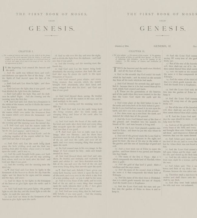 Genesis Wallpaper mural in 94 by Andrew Martin | Jane Clayton