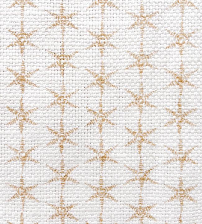 Anise Fabric in Ochre by Juliet Travers | Jane Clayton