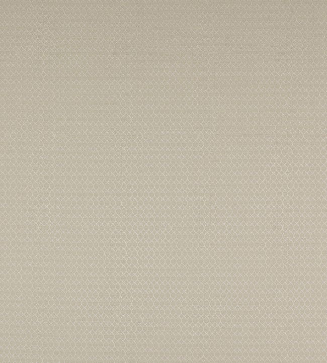 Arlette Fabric in Ivory by Colefax and Fowler | Jane Clayton