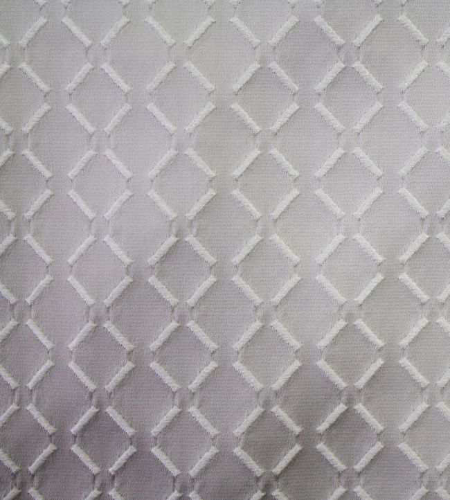 Burman Fabric by Ashley Wilde in Platinum | Jane Clayton