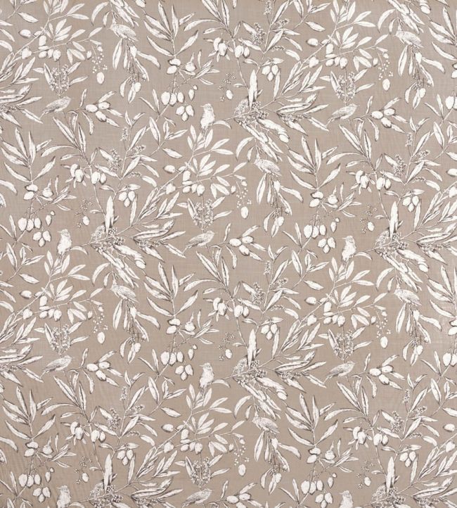 Aviary Fabric in Parchment by Prestigious Textiles | Jane Clayton