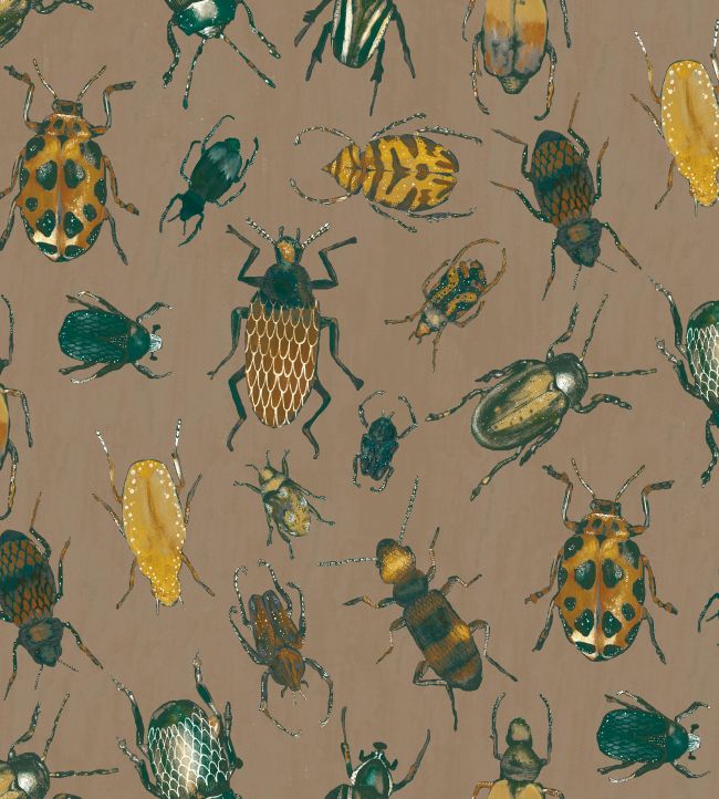 Beetle Fabric in Bronze by Arley House | Jane Clayton