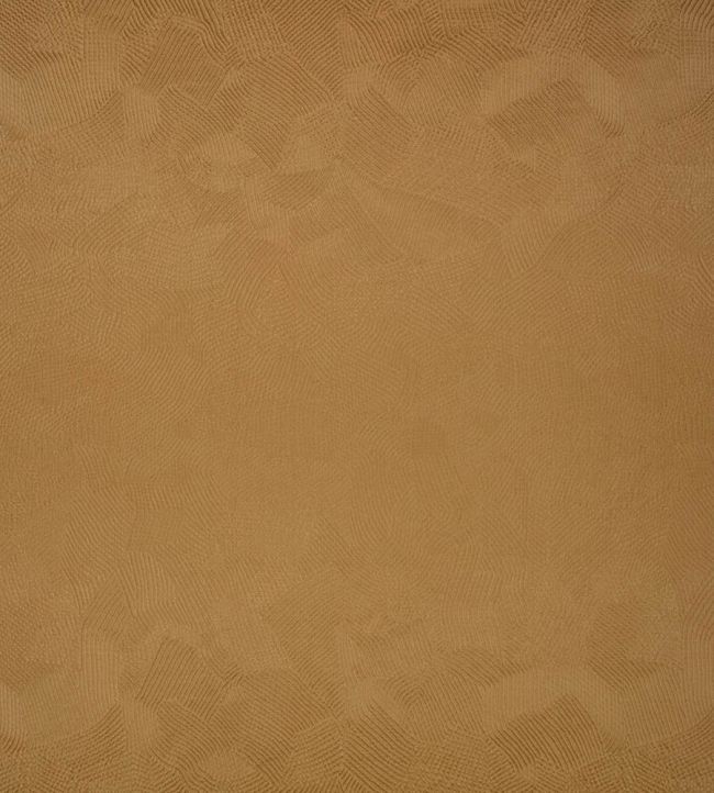Boa Fabric in Cumin by Black Edition | Jane Clayton