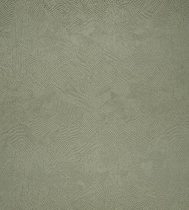 Boa Fabric in Jadeite by Black Edition | Jane Clayton