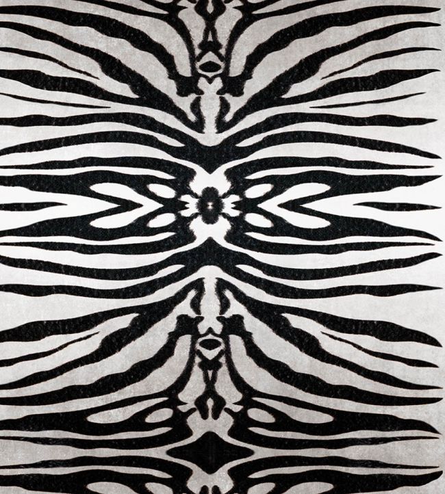 Bold Zebra Wallpaper in Black and White by Avalana | Jane Clayton
