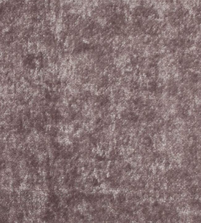 Boutique Velvets Fabric in Heather by Harlequin | Jane Clayton