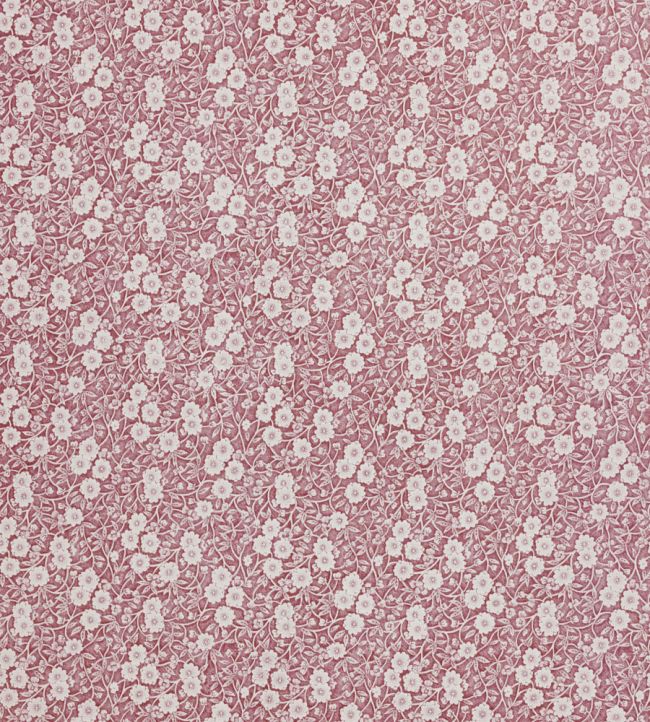 Calico Wallpaper in Burnt Rose by Burleigh X Barneby Gates | Jane Clayton