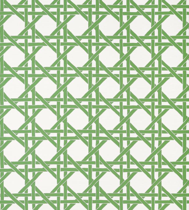 Canary Trellis Wallpaper in Green by Thibaut | Jane Clayton