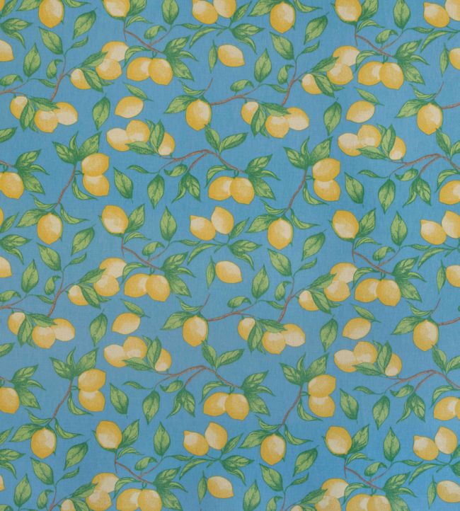 Capri Lemon Fabric in Azure Blue by Barneby Gates | Jane Clayton