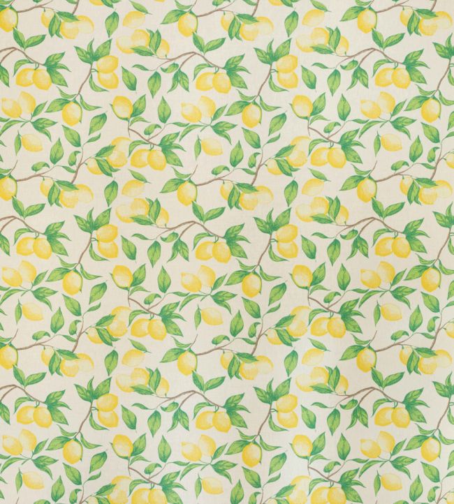 Capri Lemon Fabric in Cream by Barneby Gates | Jane Clayton
