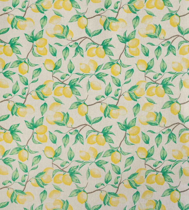 Capri Lemon Fabric in Natural by Barneby Gates | Jane Clayton