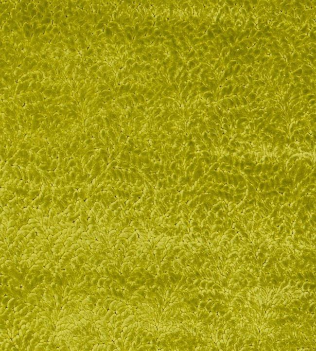 Cartouche Fabric in Moss by Designers Guild | Jane Clayton
