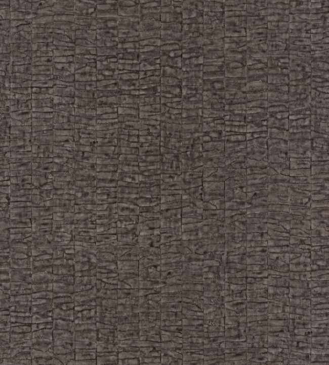Caiman Wallpaper by Casamance in Carbone | Jane Clayton