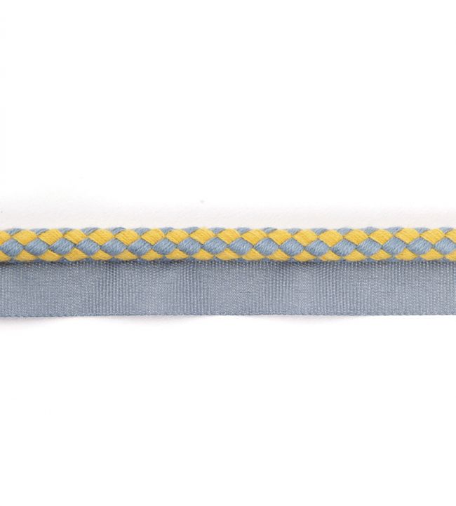 Circus Piping Trimmings in Old Blue by Passementerie for Christopher ...