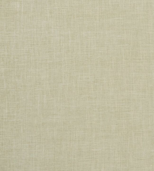 Albany Fabric in Sage by Clarke & Clarke | Jane Clayton