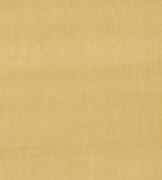 Alvar Fabric by Clarke & Clarke in Ochre | Jane Clayton