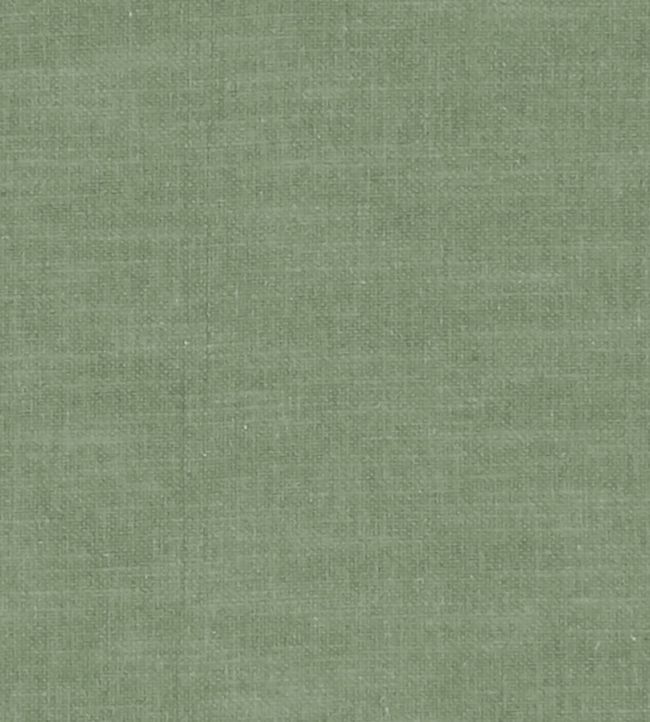 Amalfi Fabric by Clarke & Clarke in Herb | Jane Clayton