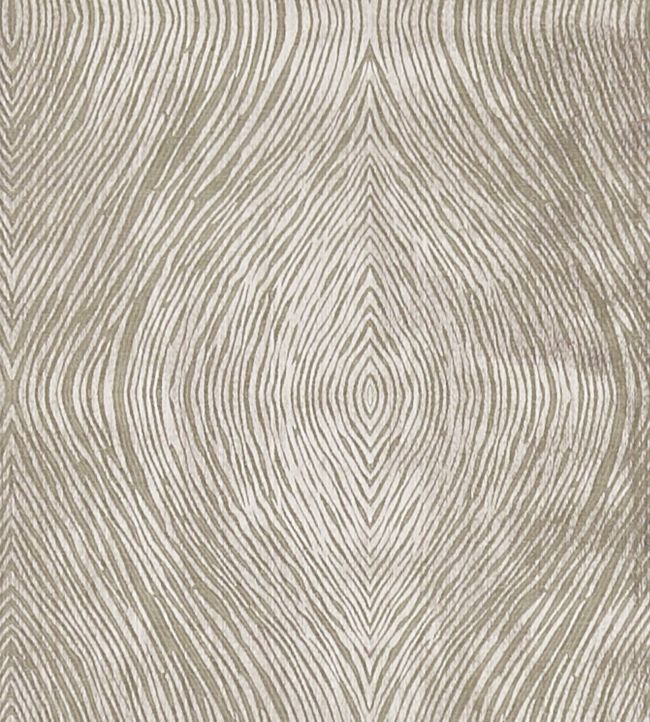 Luster Fabric in Mocha by Clarke & Clarke | Jane Clayton