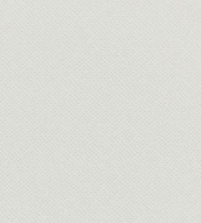 Filum Fabric in Polar by Clarke & Clarke | Jane Clayton