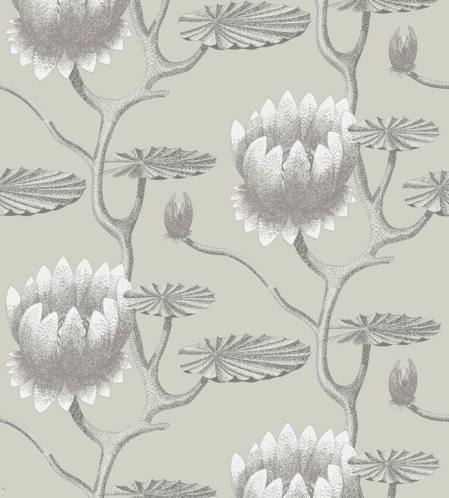 Summer Lily Wallpaper in 25 by Cole & Son | Jane Clayton