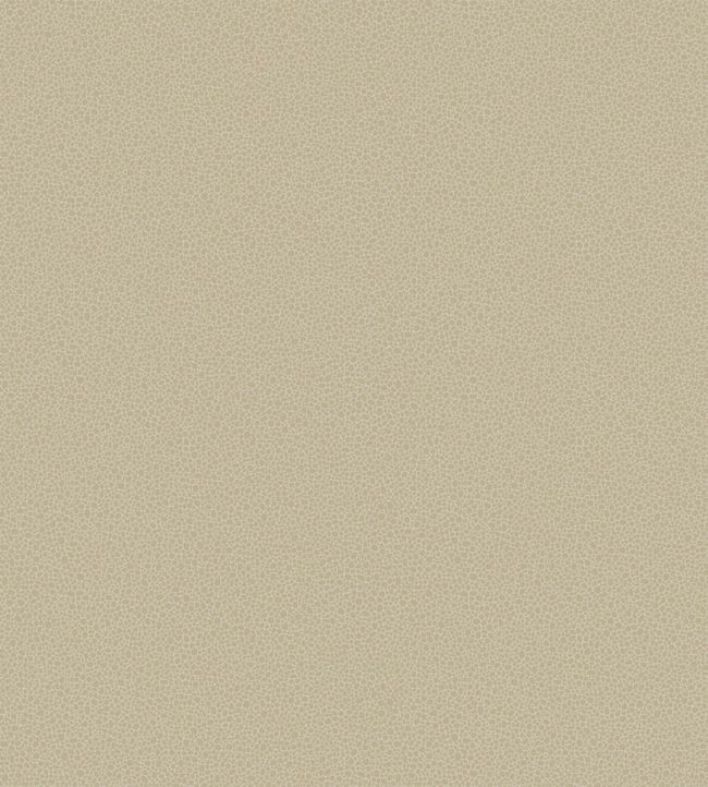 Goldstone Wallpaper in 9042 by Cole & Son | Jane Clayton
