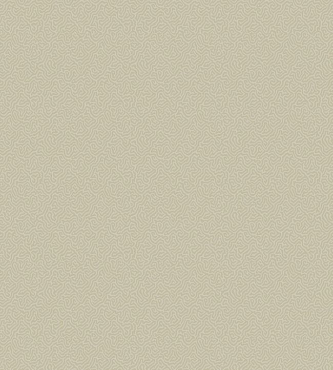 Coral Wallpaper in 5072 by Cole & Son | Jane Clayton