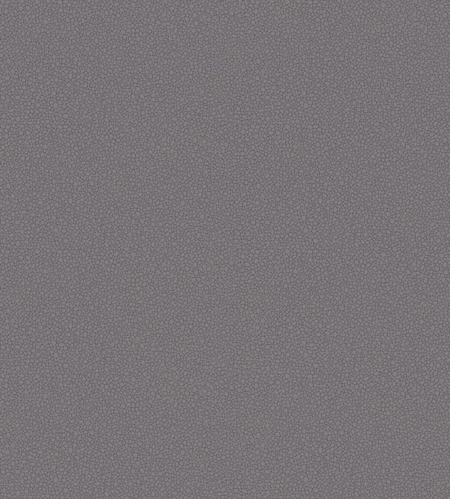 Pebble Wallpaper in 2015 by Cole & Son | Jane Clayton