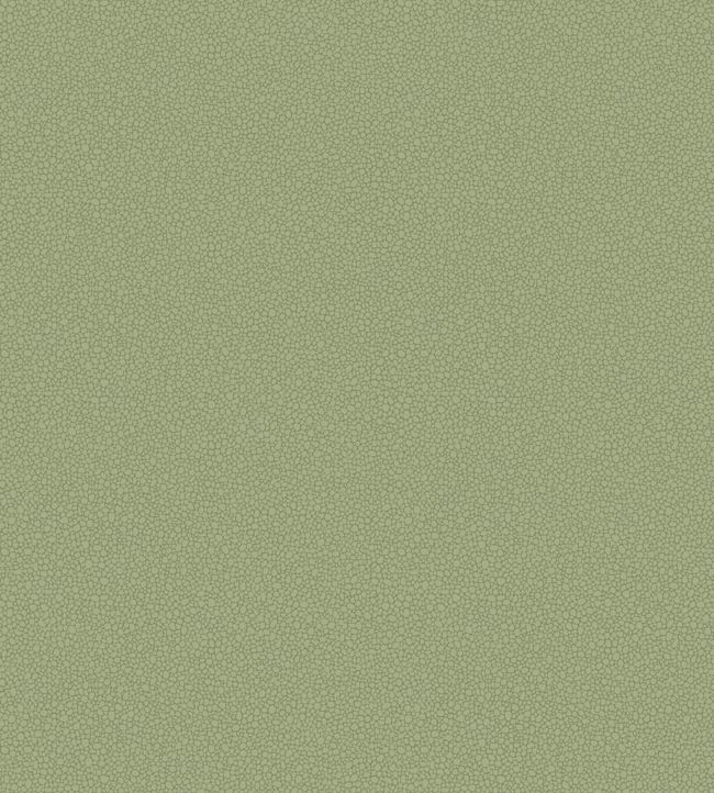 Pebble Wallpaper in 2026 by Cole & Son | Jane Clayton
