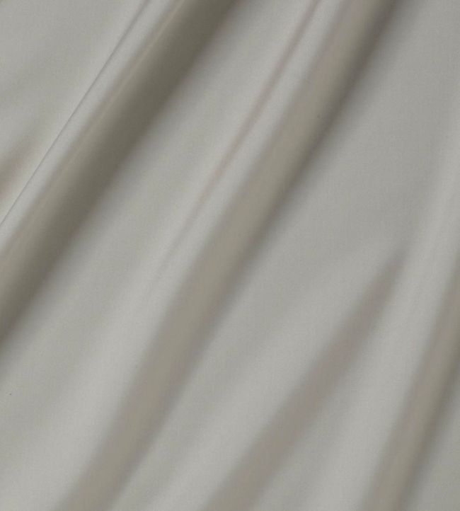 Connaught Silk Fabric in Feather by James Hare | Jane Clayton