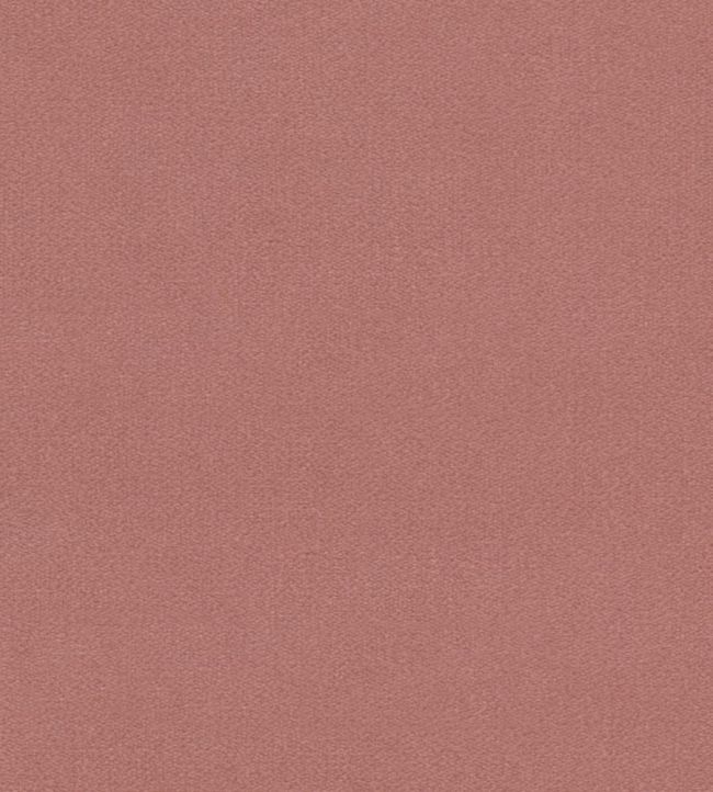 Cotton Velvet Fabric in Muted Clay by MINDTHEGAP | Jane Clayton