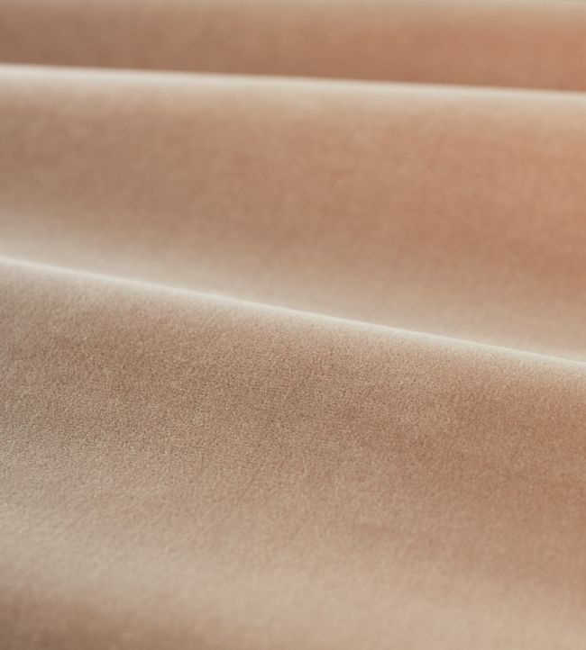 Cotton Velvet Performance Fabric in Rose Quartz by Zoffany | Jane Clayton