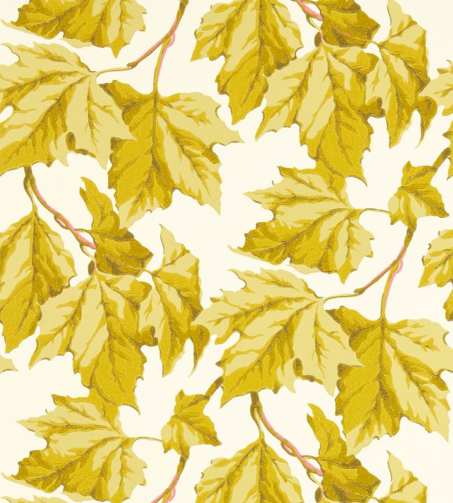 Dappled Leaf Wallpaper in Citrine by Harlequin | Jane Clayton