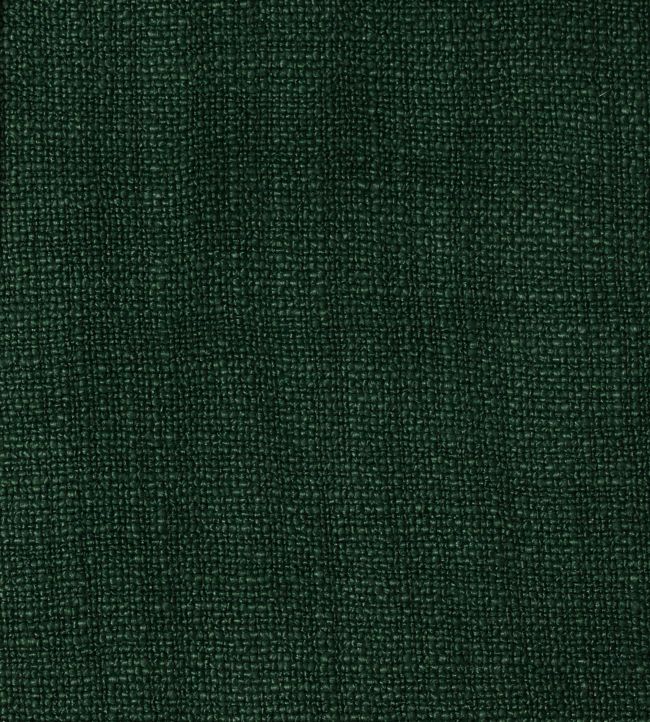 Debussy Fabric in Moss by James Malone | Jane Clayton