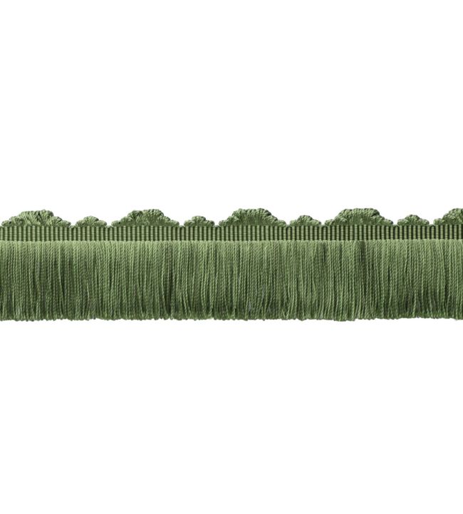 Delicat Silk Cut Fringe Trimmings in Basil by Samuel & Sons | Jane Clayton