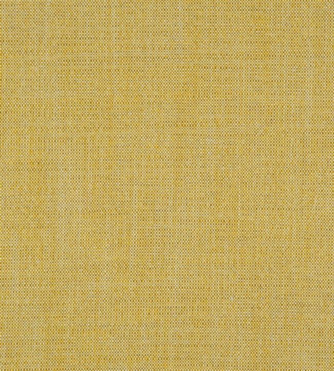 Skye Fabric by Designers Guild in Ochre | Jane Clayton