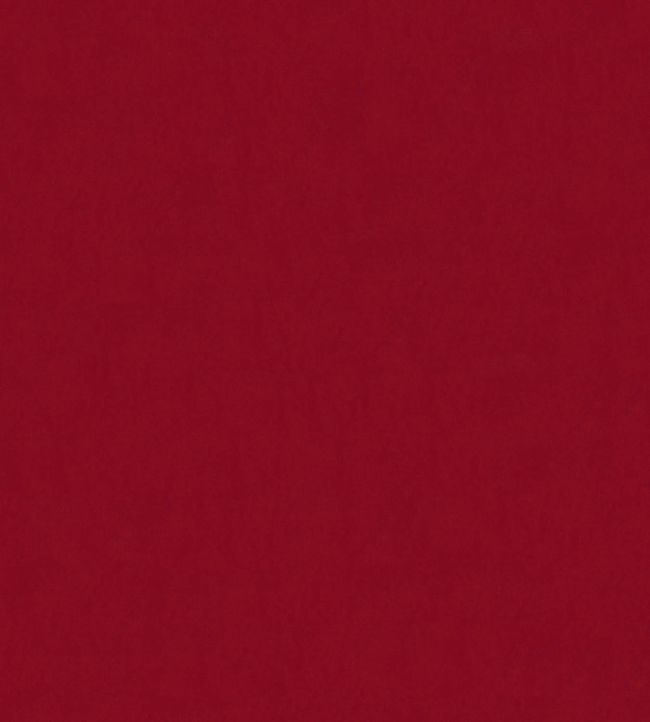 Downham Fabric in Pimento by Warner House | Jane Clayton