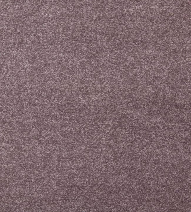 Edge Fabric in Grape by Today Interiors | Jane Clayton