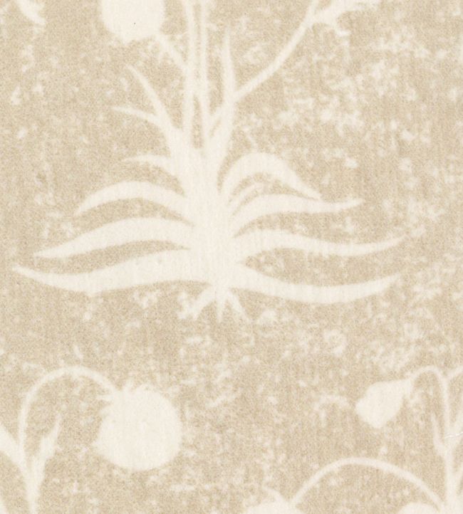 Fresco Fabric in Linen by JORO | Jane Clayton