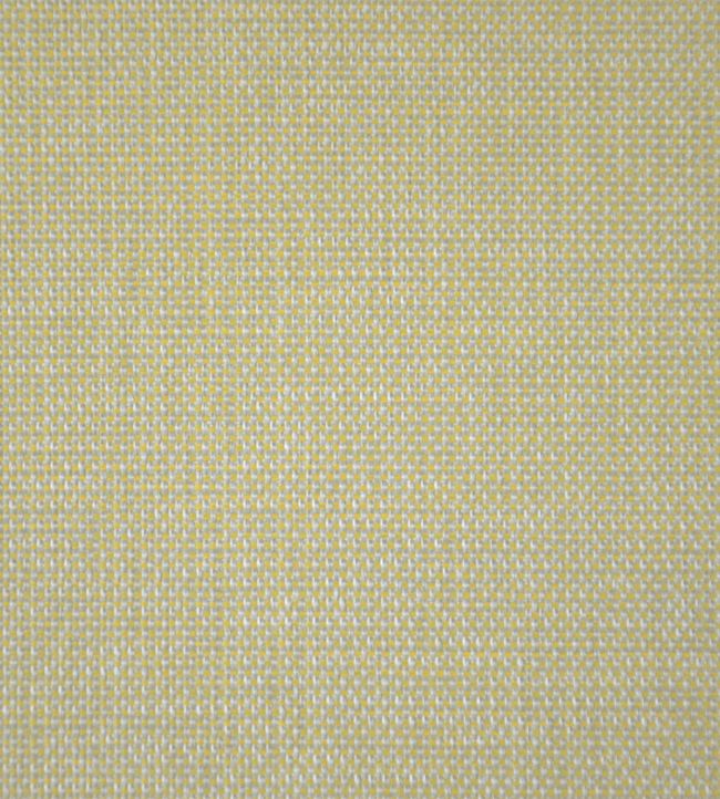 Gomera Fabric in Citron by Casal | Jane Clayton