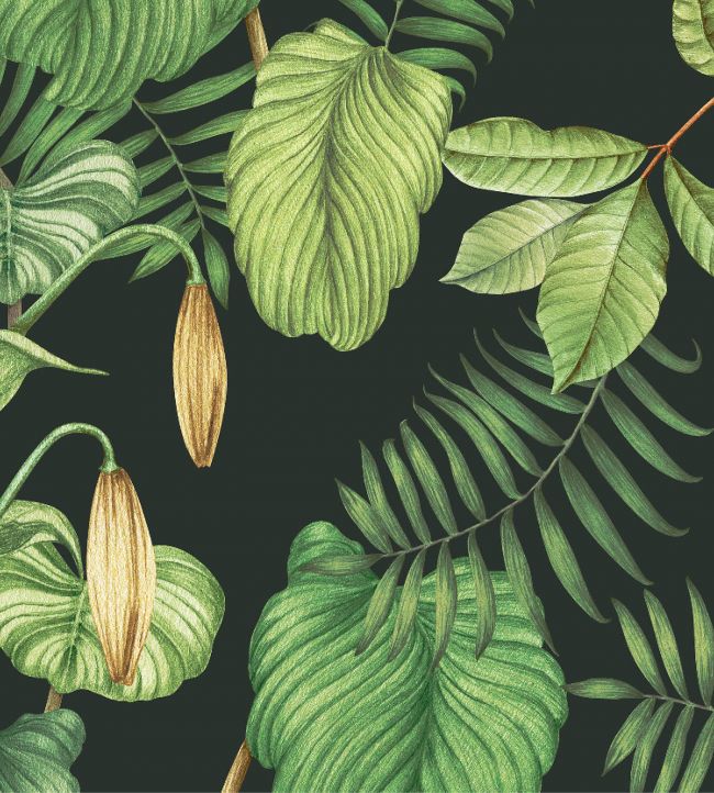 Greenery Wallpaper Mural in 5 by NLXL | Jane Clayton