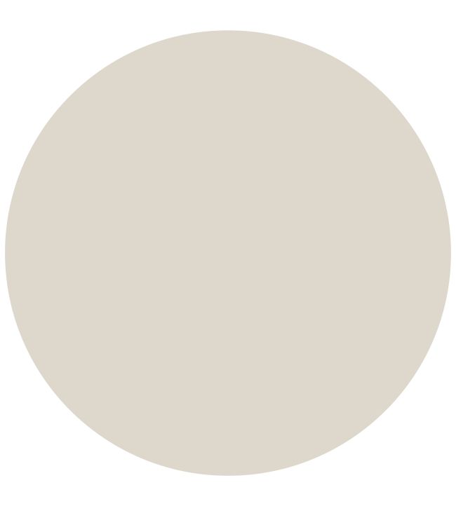 Sanderson Grey Birch Light Active Emulsion Paint | Jane Clayton