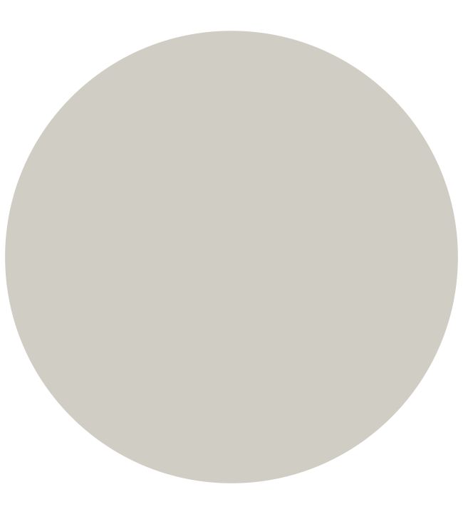 Sanderson Grey Birch Active Emulsion Paint | Jane Clayton