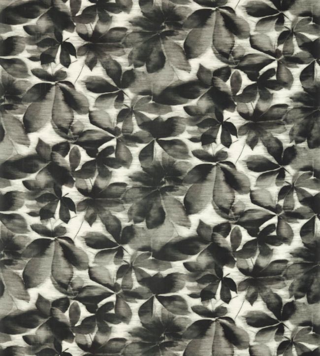 Grounded Fabric in Black Earth / Parchment by Harlequin | Jane Clayton