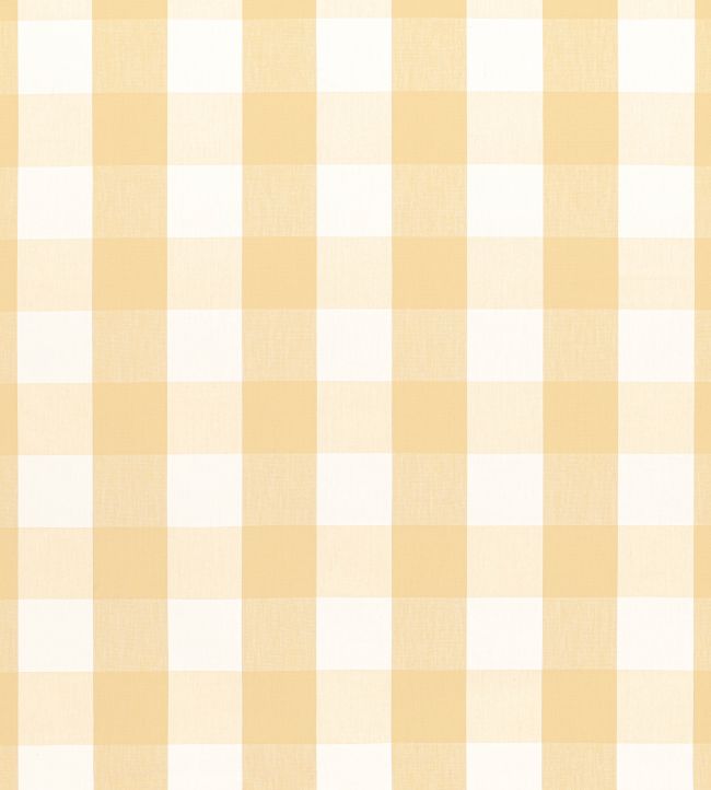 Hammond Check Fabric in Soft Gold by Anna French | Jane Clayton