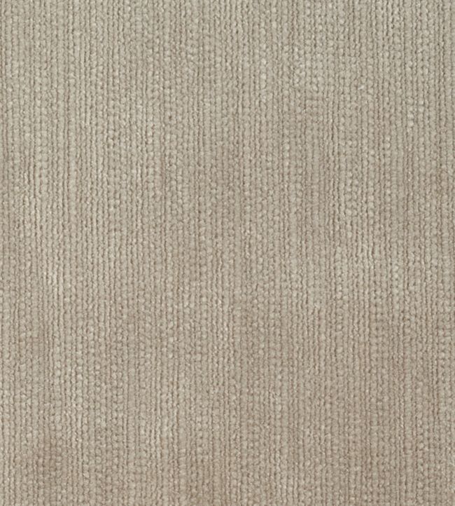 Momentum Velvets Fabric in Pebble by Harlequin | Jane Clayton