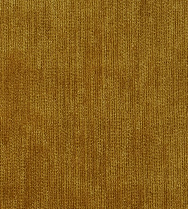 Momentum Velvets Fabric in Gold by Harlequin | Jane Clayton