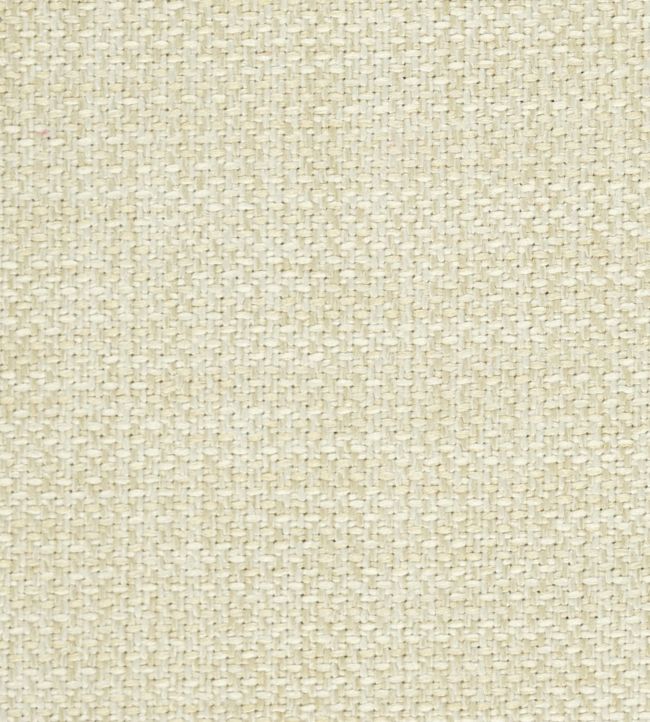 Frequency Fabric in Buttermilk by Harlequin | Jane Clayton