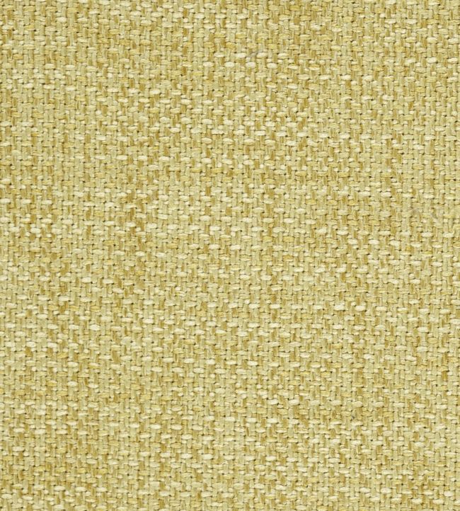 Omega Fabric in Lemonade by Harlequin | Jane Clayton