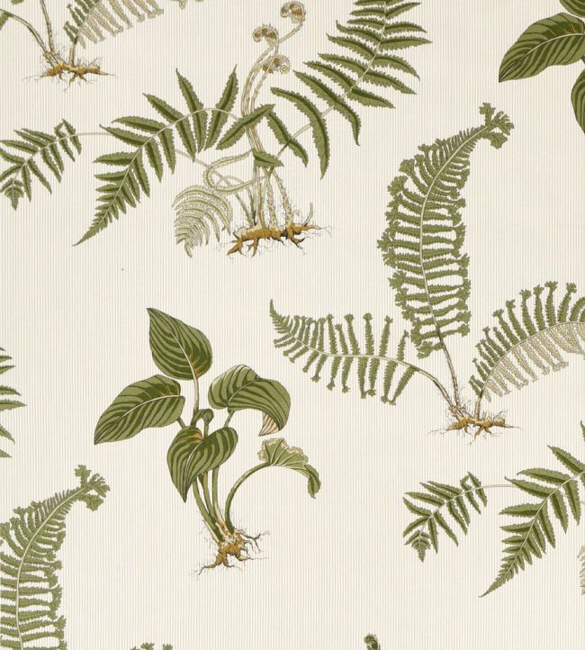Hosta & Fern Fabric in Olivine by Sanderson | Jane Clayton
