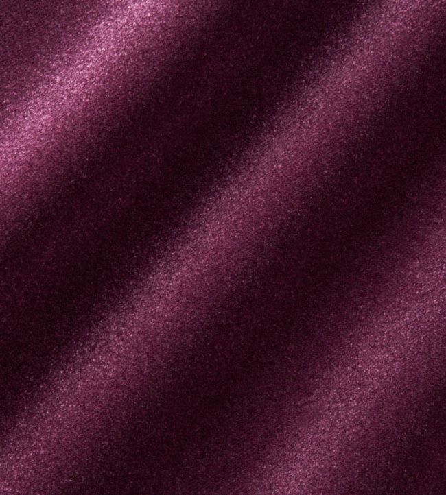 Infinity Plus Fabric in 436 by Zimmer + Rohde | Jane Clayton